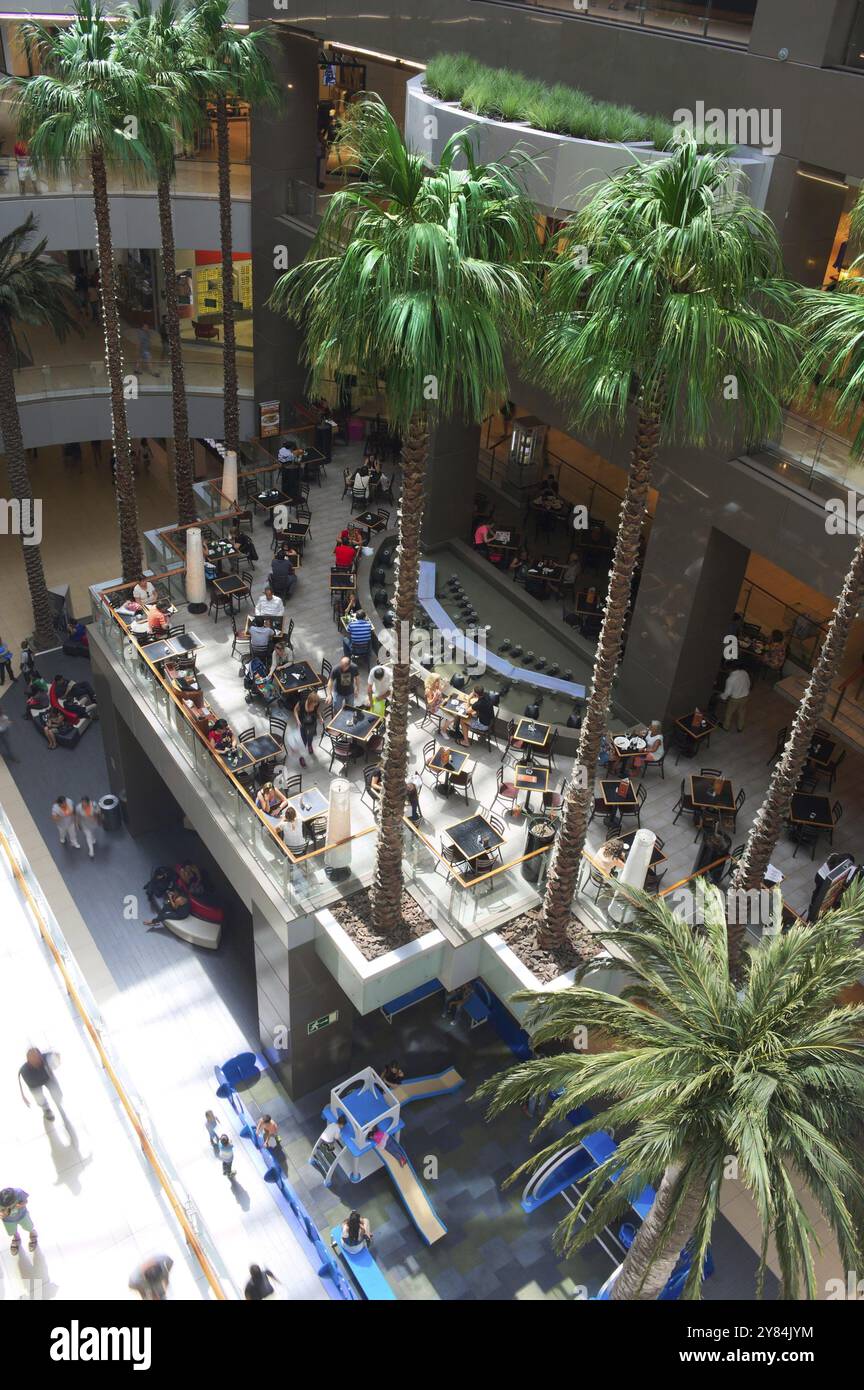 Indoor atrium at a mall with tall palm trees, dining and shopping areas ...