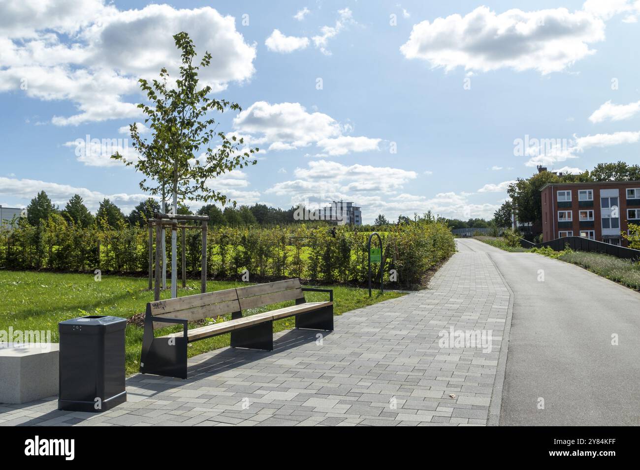 Urban development, traffic, seating and green path in the summer park ...