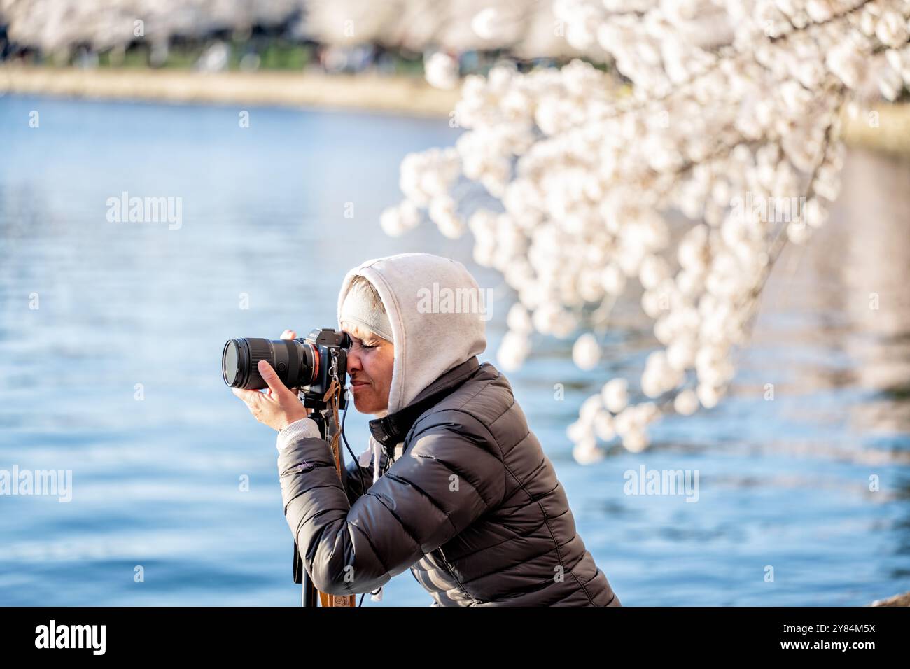 WASHINGTON DC, United States — Visitors capture photos of cherry ...