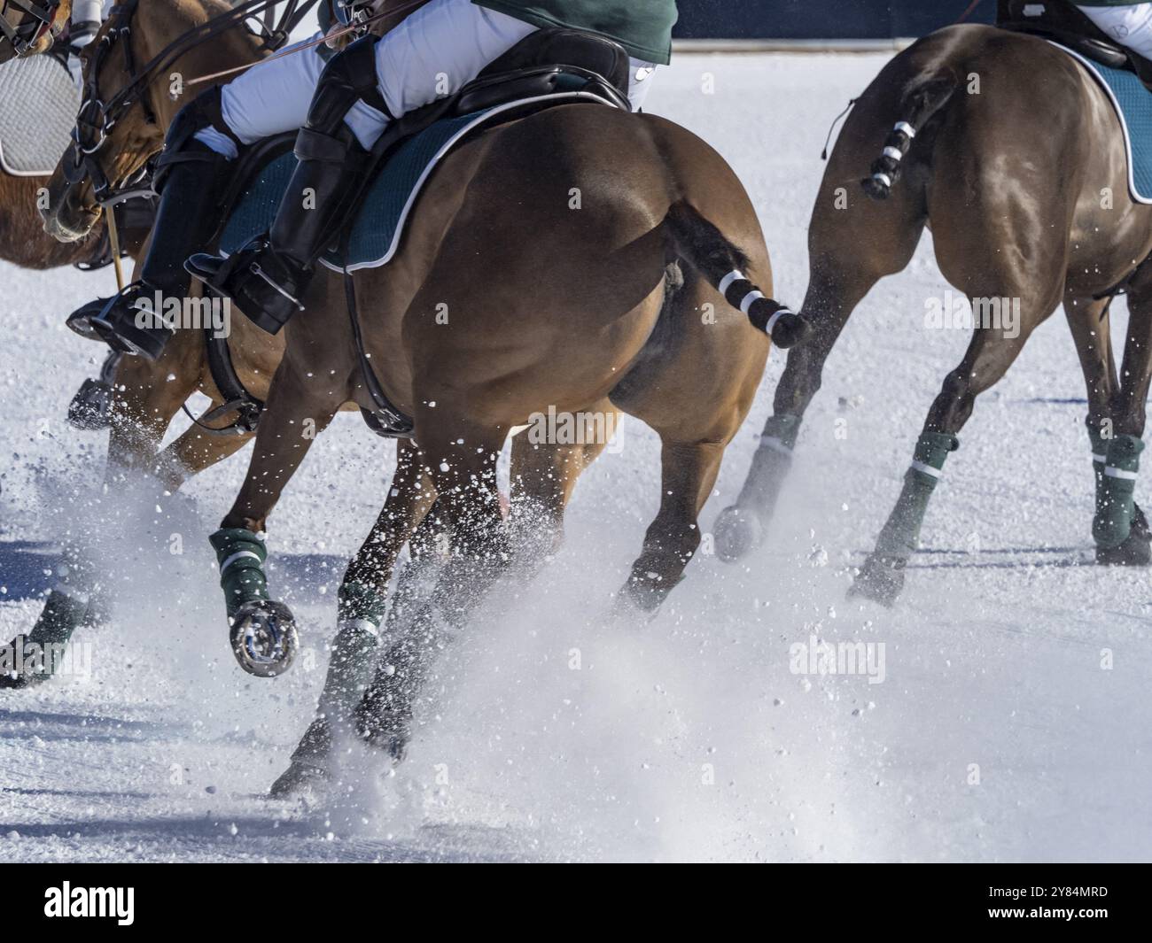 Snow Polo details pictures from a match Stock Photo - Alamy