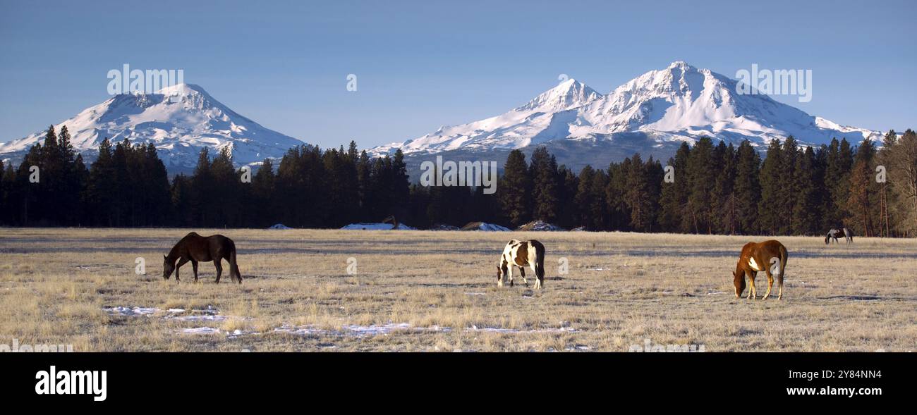 Horse Ranch at the Base of Three Sisters Mountains Oregon Stock Photo ...