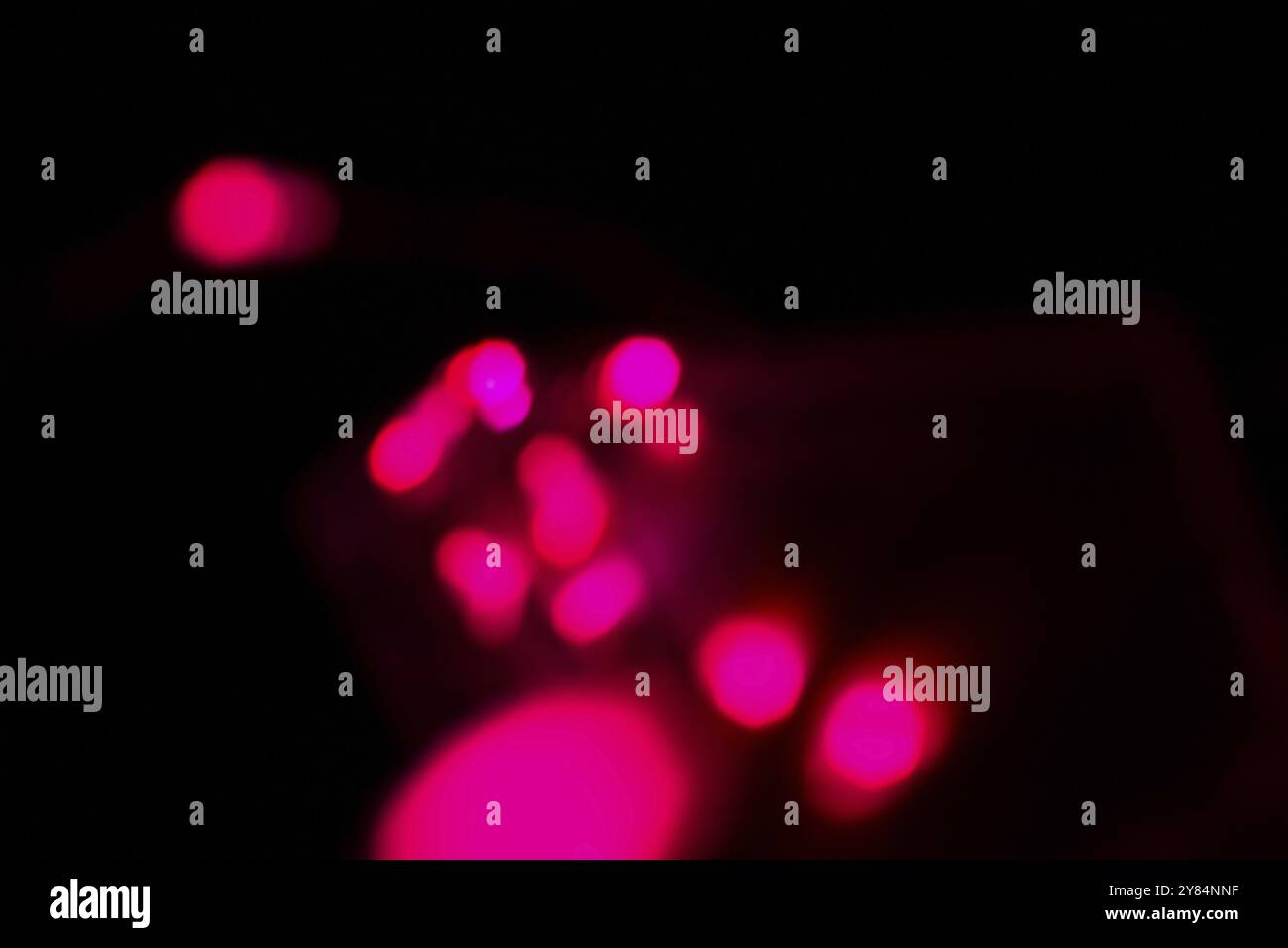 Bright red light spots on black background. overlay, sparkle, wallpaper ...