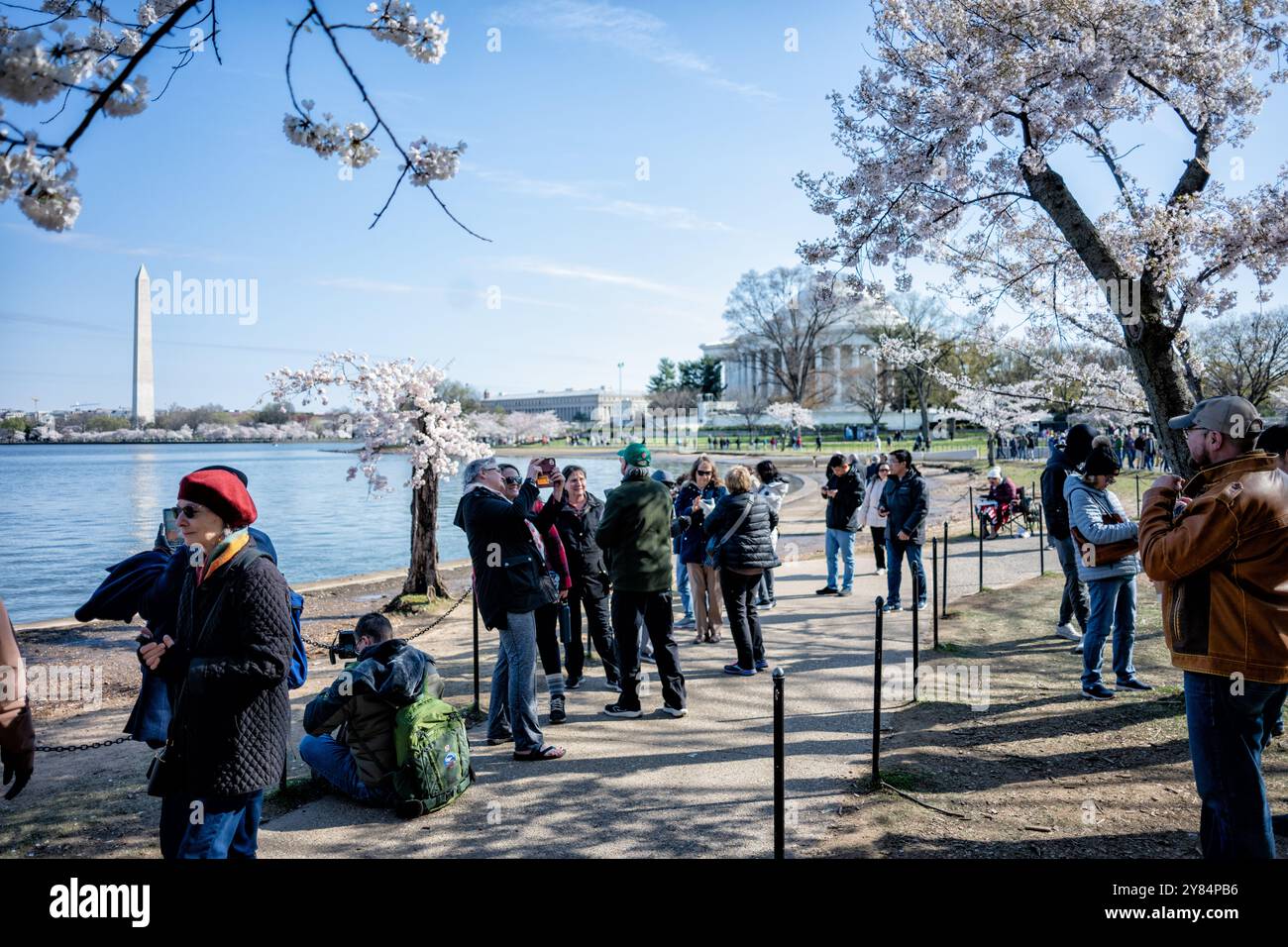 WASHINGTON DC — Visitors gather to photograph "Stumpy," a gnarled ...