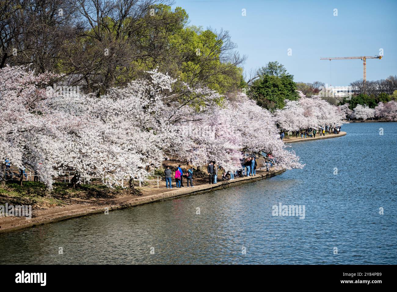 TIDAL BASIN, Washington DC— [copyright] Stock Photo - Alamy