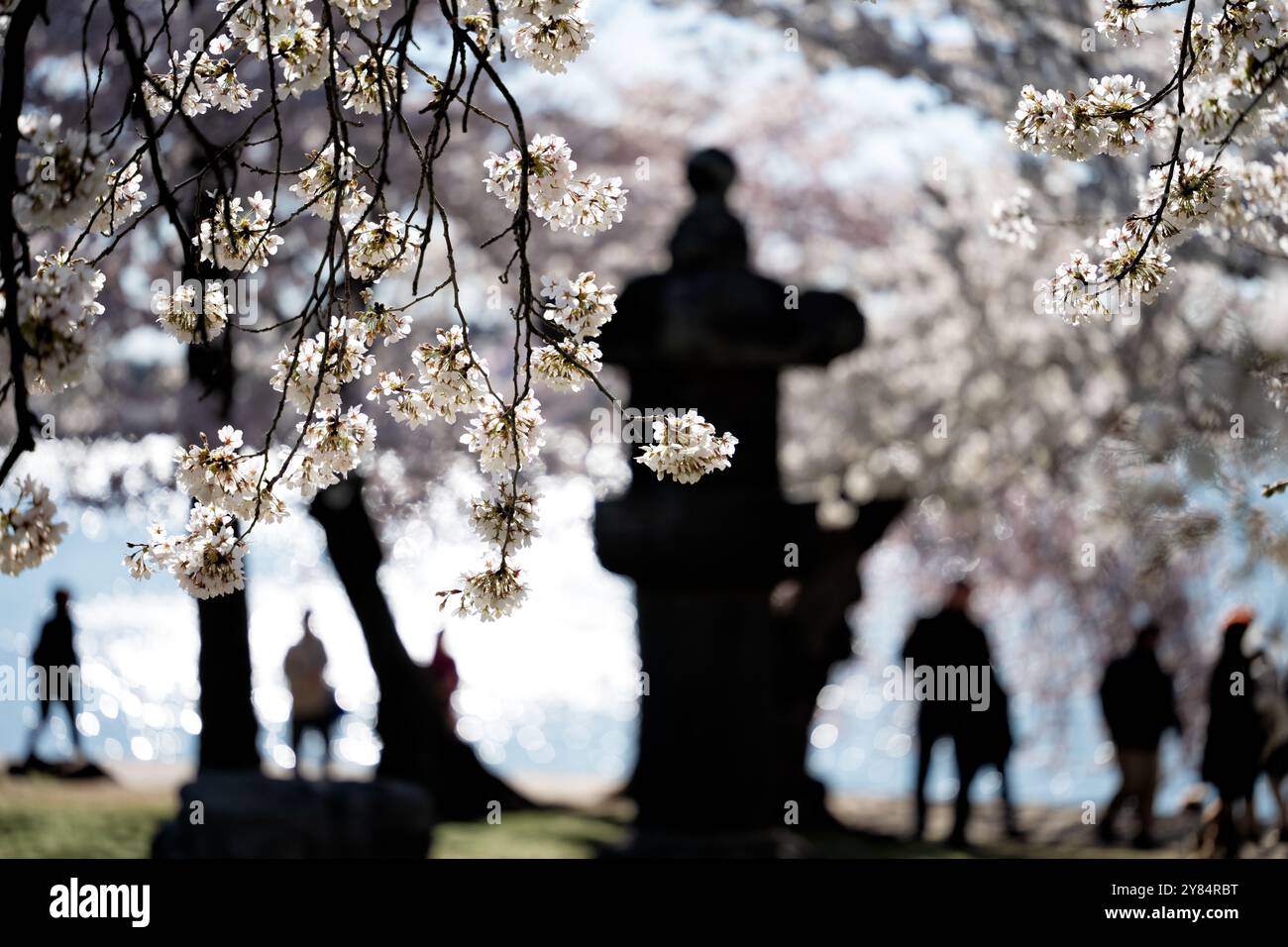 TIDAL BASIN, Washington DC— [copyright] Stock Photo - Alamy