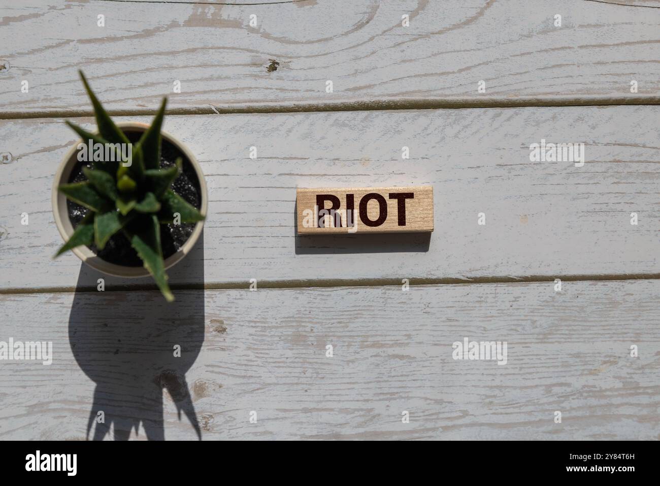 Hand holding sign, isolated on white - Riot Stock Photo - Alamy