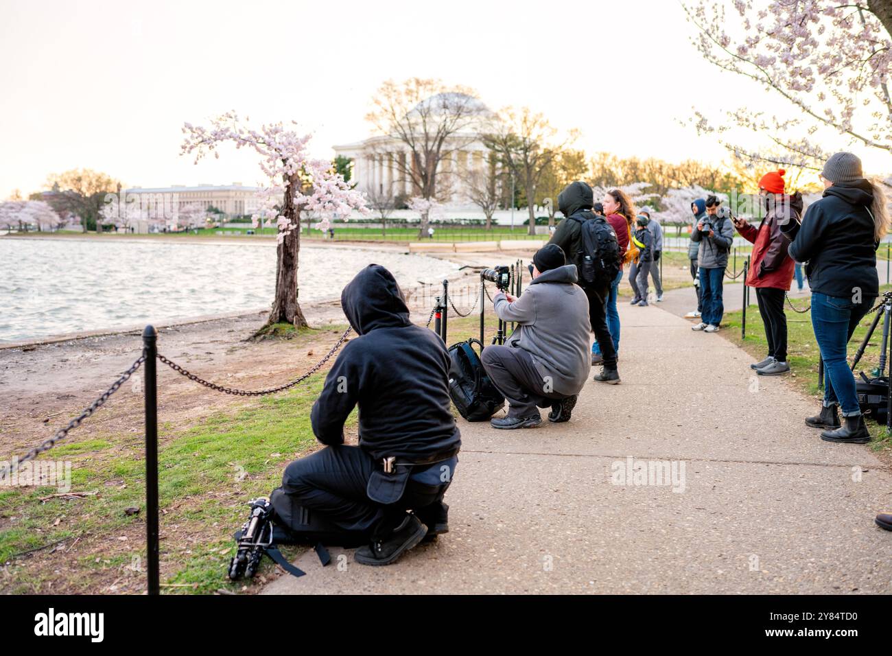 Stumpy appearance hi-res stock photography and images - Alamy