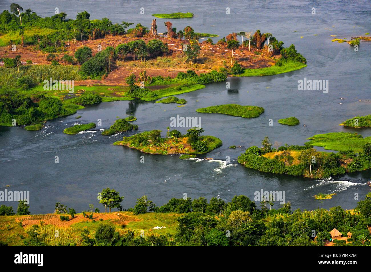 River Nile ( White ) in Jinja Uganda, The Nile River is the longest in ...