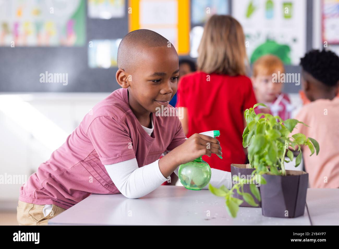 In school, african american boy watering plants with spray bottle in ...