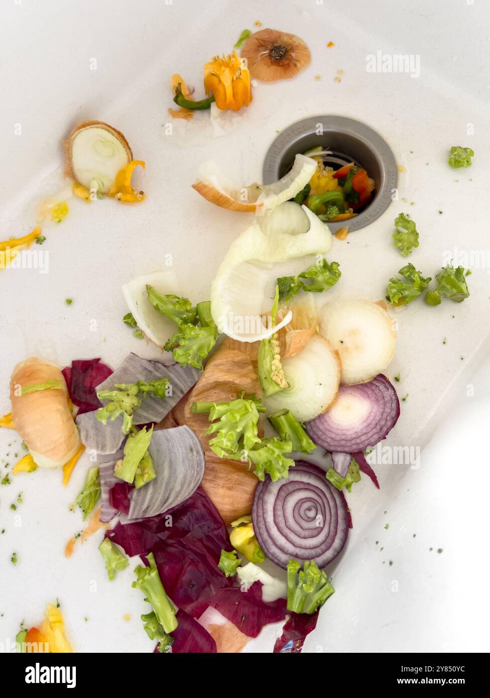 Vegetable Scraps in a Sink Ready for Disposal After Meal Preparation ...
