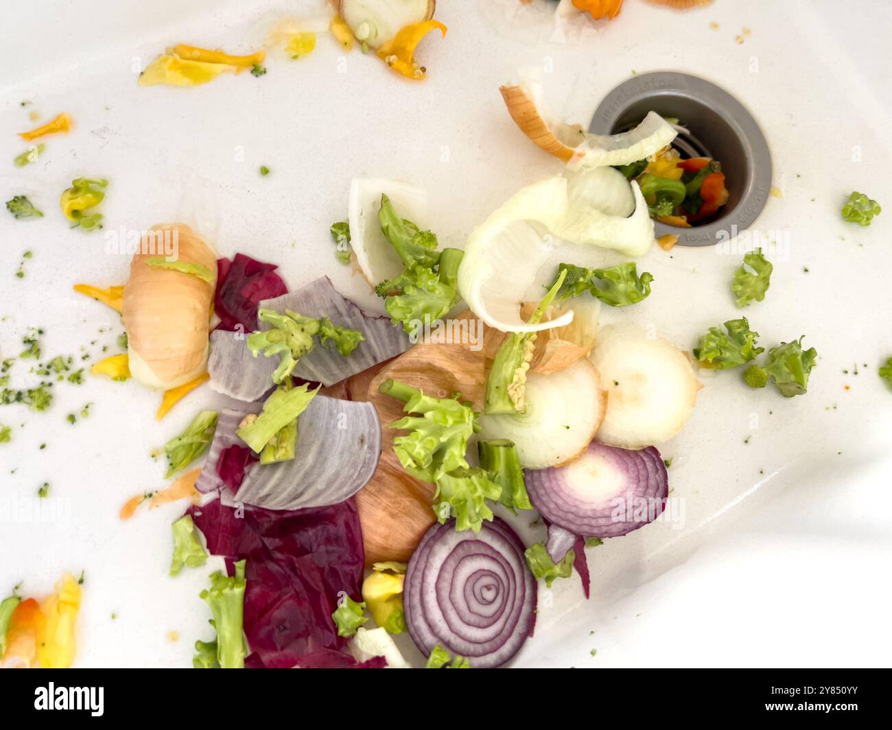 Vegetable Scraps in a Sink Ready for Disposal After Meal Preparation ...