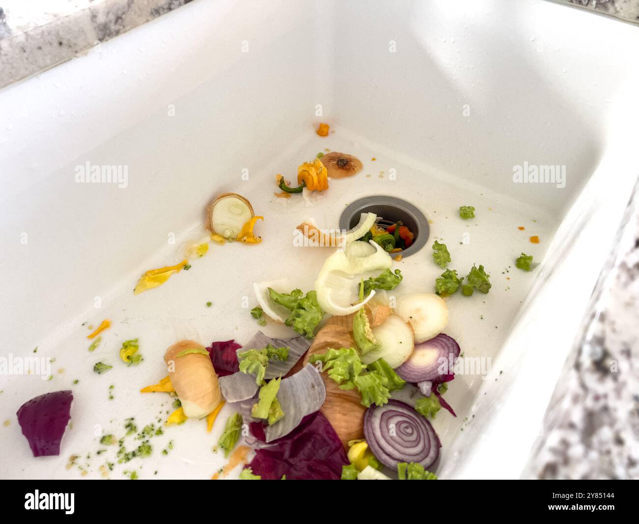 Vegetable Scraps in a Sink Ready for Disposal After Meal Preparation ...