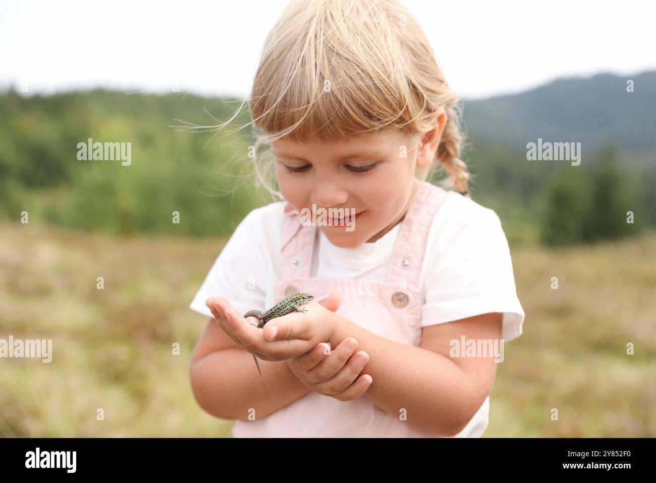 Cute little girl holding lizard at field. Child enjoying beautiful ...