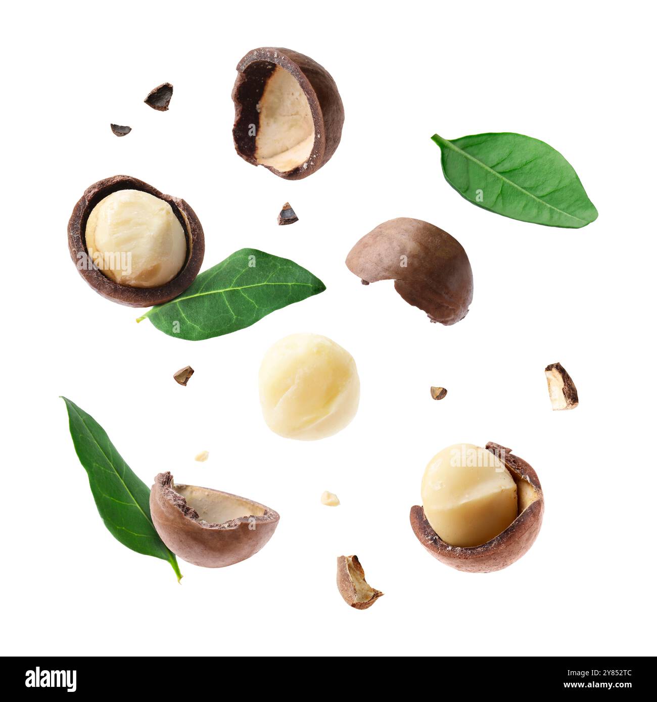 Macadamia nuts and crushed shells in air on white background Stock ...
