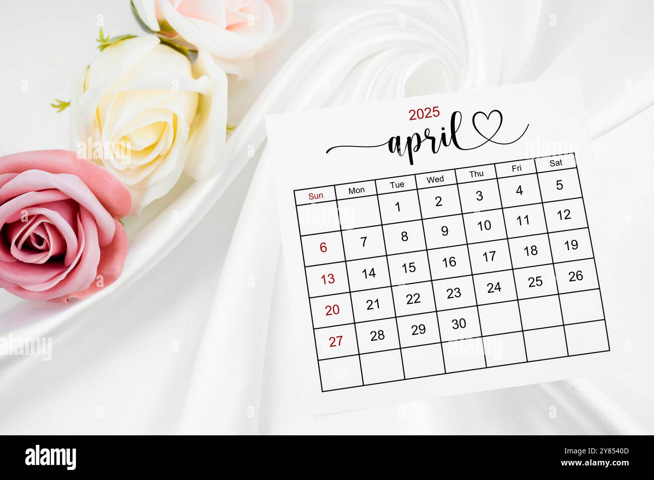 April 2025 calendar page and rose flower on white satin textile ...