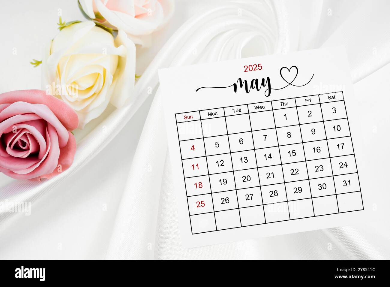 May 2025 calendar page and rose flower on white satin textile ...