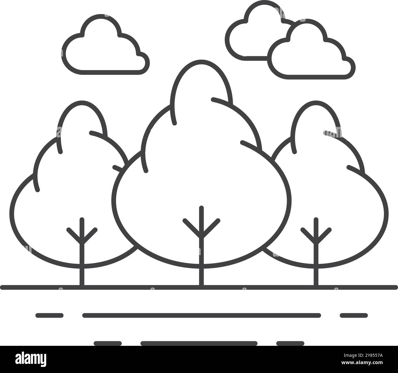 Pine woodland environment Cut Out Stock Images & Pictures - Alamy