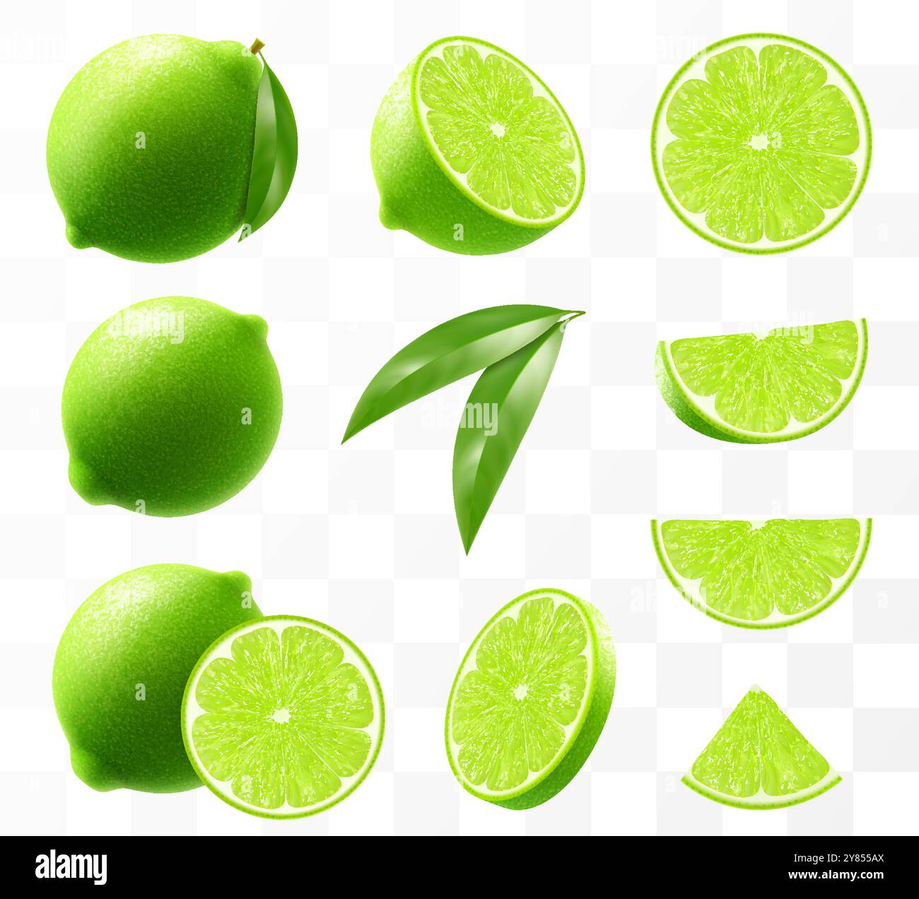 Green ripe lime set. Whole, half and slices citrus fruit isolated on ...