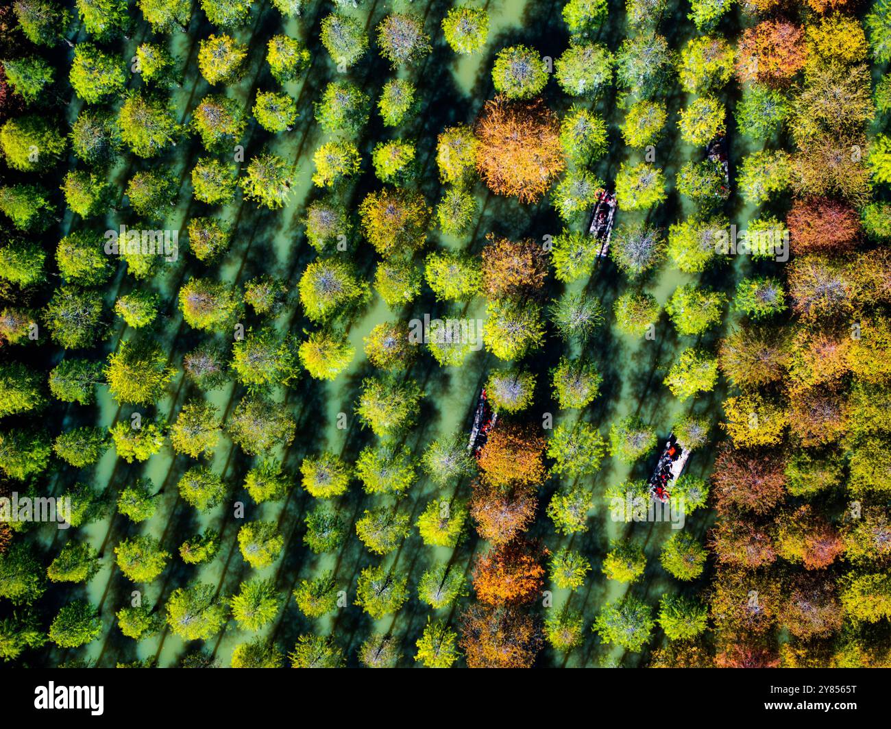 SUQIAN, CHINA - OCTOBER 2, 2024 - Tourists ride a bamboo raft at Hongze ...