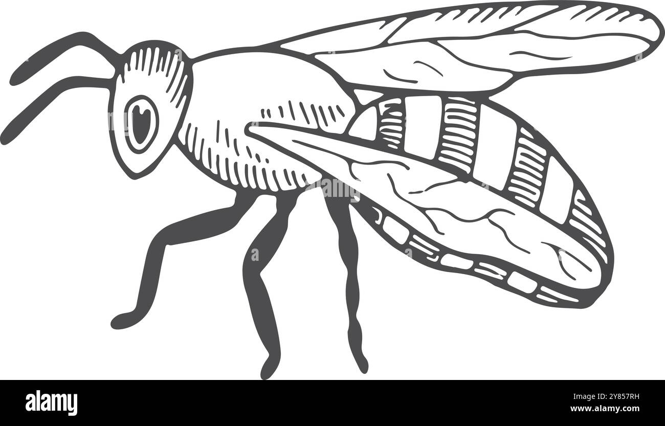 Honey jar bee flying Cut Out Stock Images & Pictures - Alamy