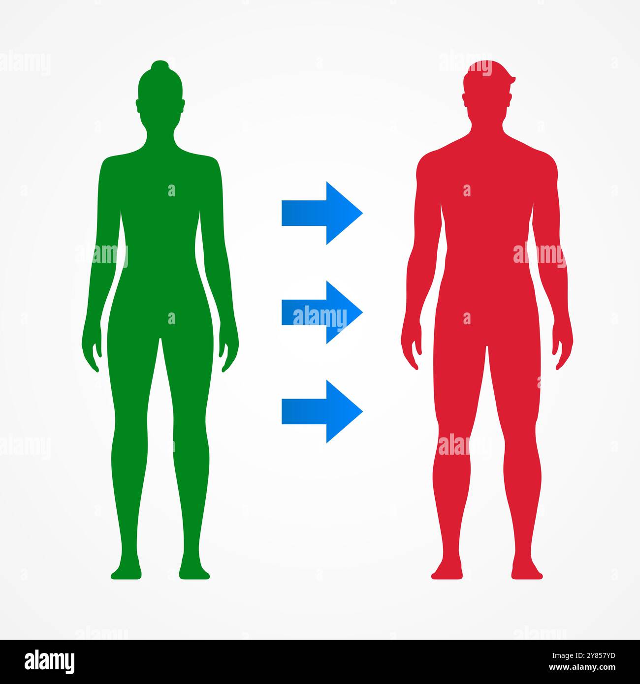 Gender transition from female to male, concept vector illustration. The ...