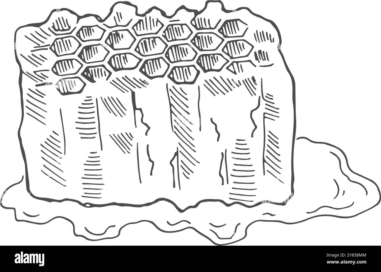 Beeswax sketch. Natural apiary product ink drawing Stock Vector Image ...
