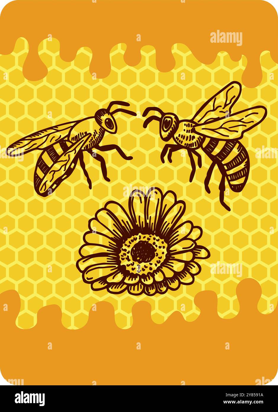Honey product banner with hand drawn bees and flower Stock Vector Image ...