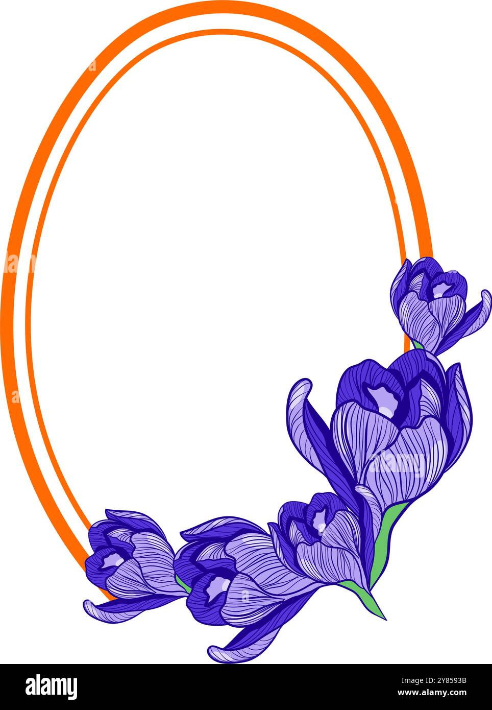 Floral frame with crocus flowers holiday decoration vector illustration ...