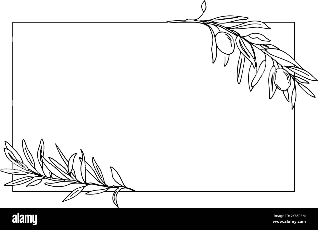 Olive rectangular, square Frame. Hand drawn Olive Branches and Fruits ...