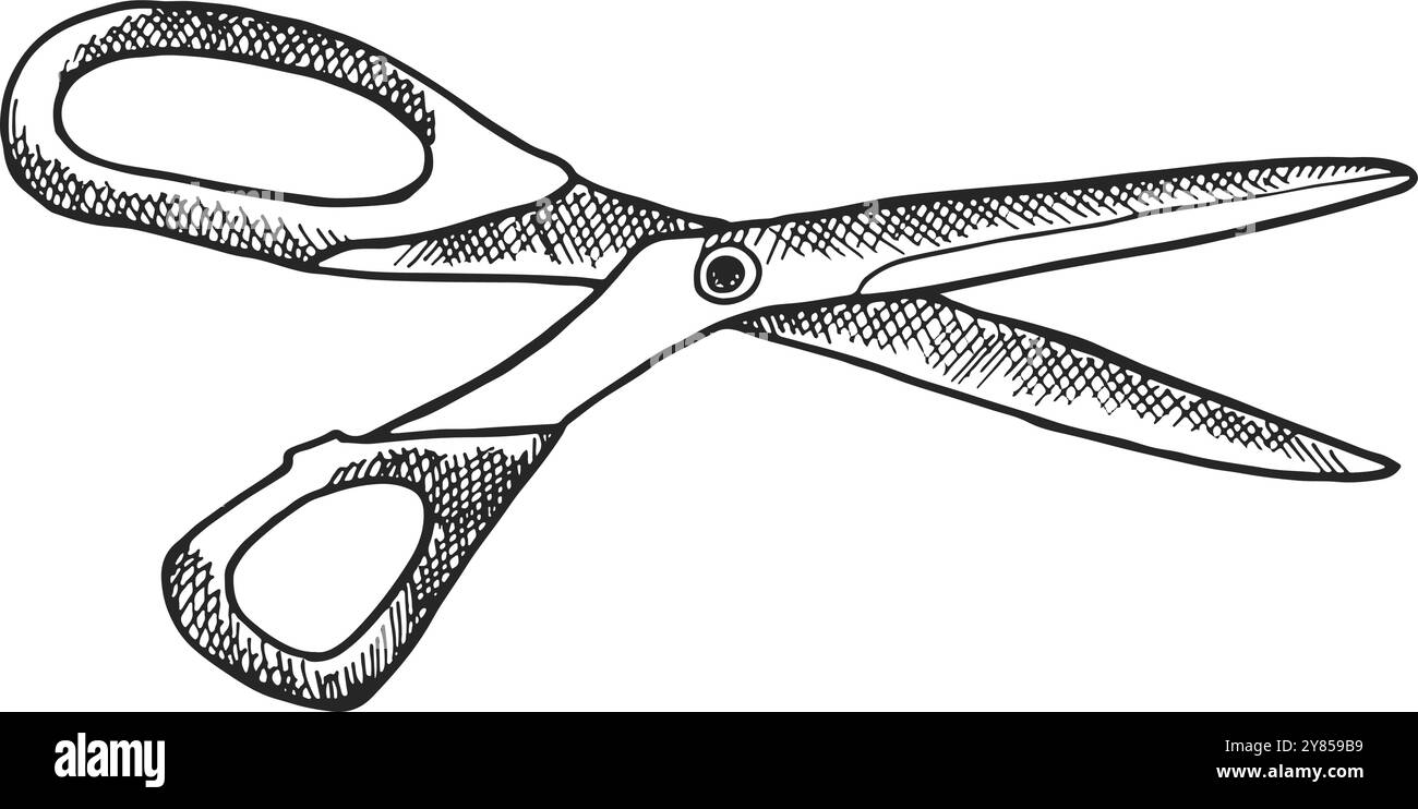 Hand drawn scissors. Sharp tool ink sketch Stock Vector Image & Art - Alamy