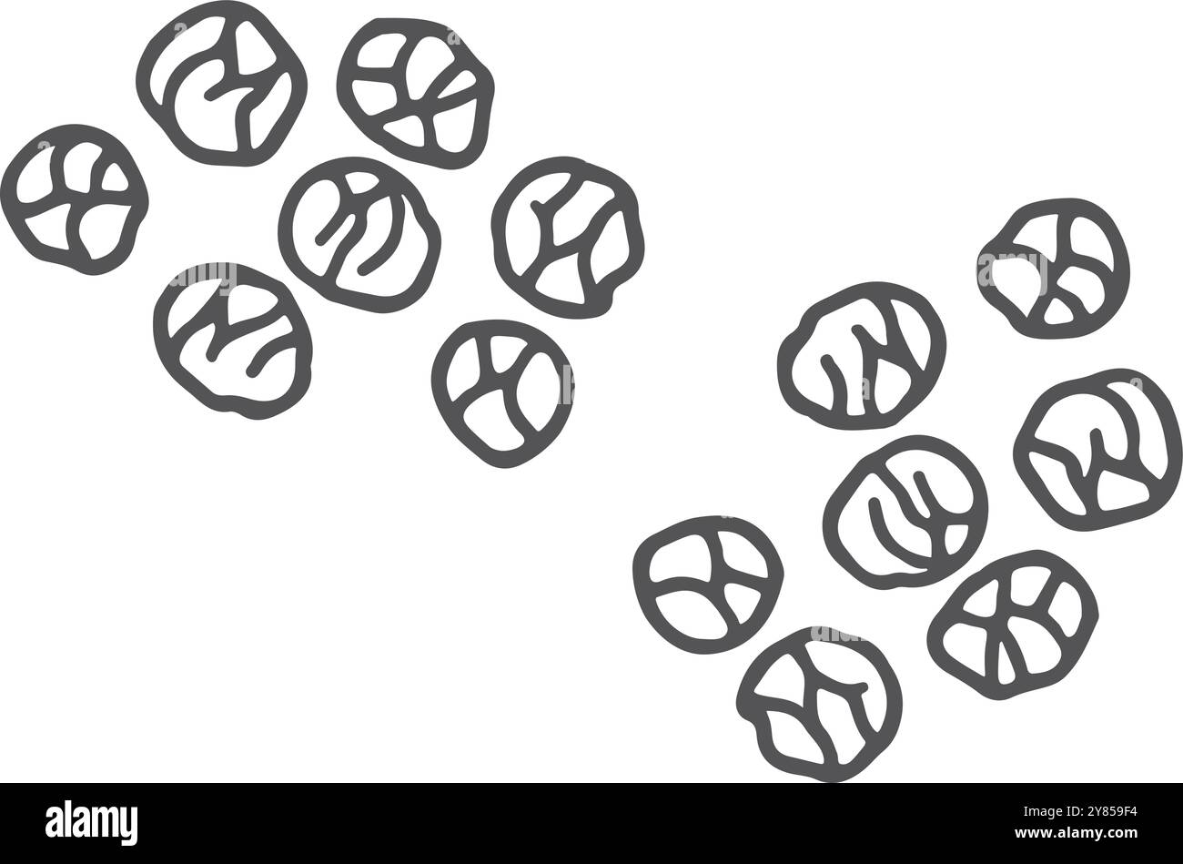 Anise pepper Black and White Stock Photos & Images - Alamy