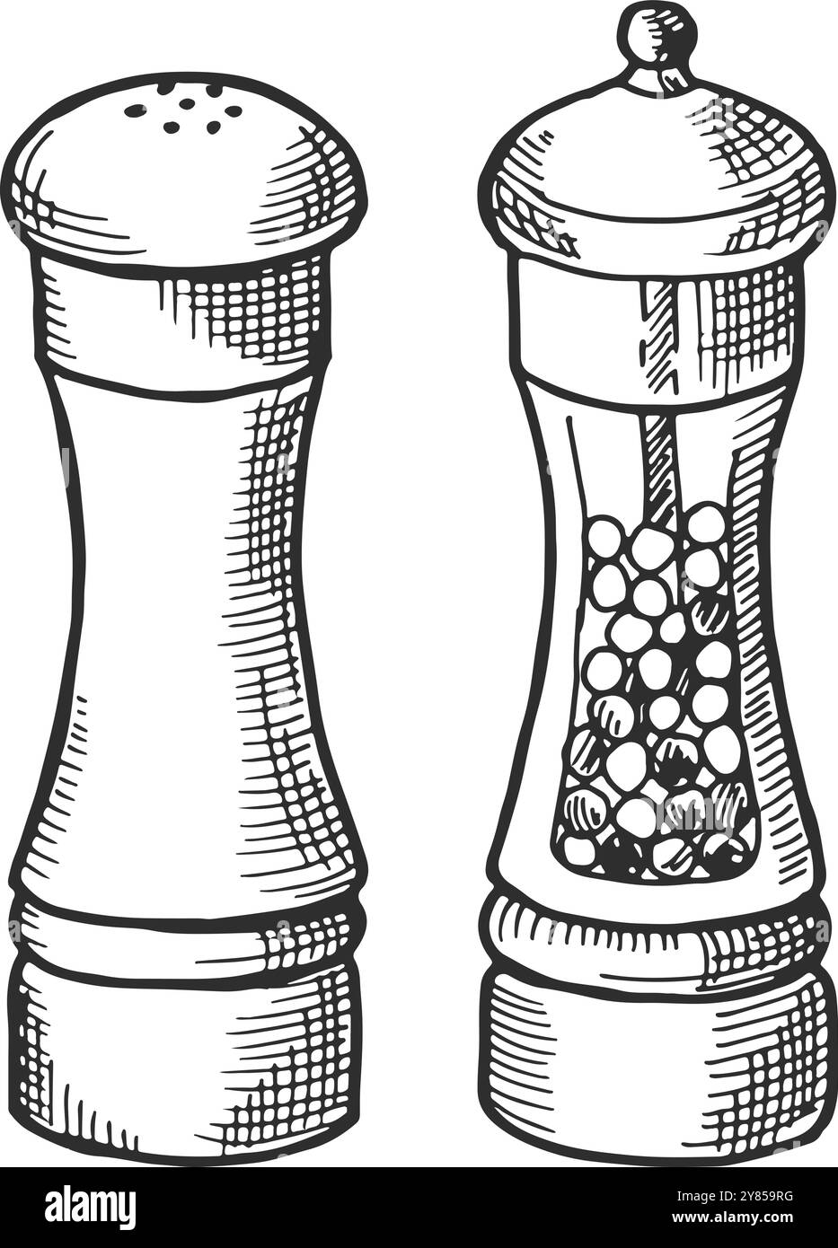 Pepper and salt shaker engraving. Food spice sketch Stock Vector Image ...