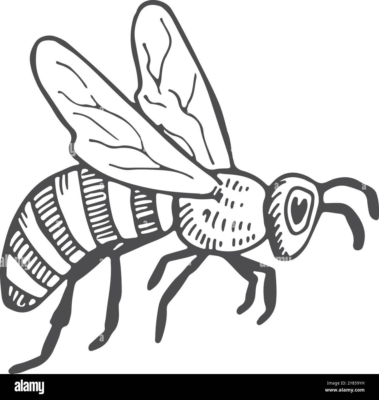 Bee hand drawing. Honey insect ink sketch Stock Vector Image & Art - Alamy