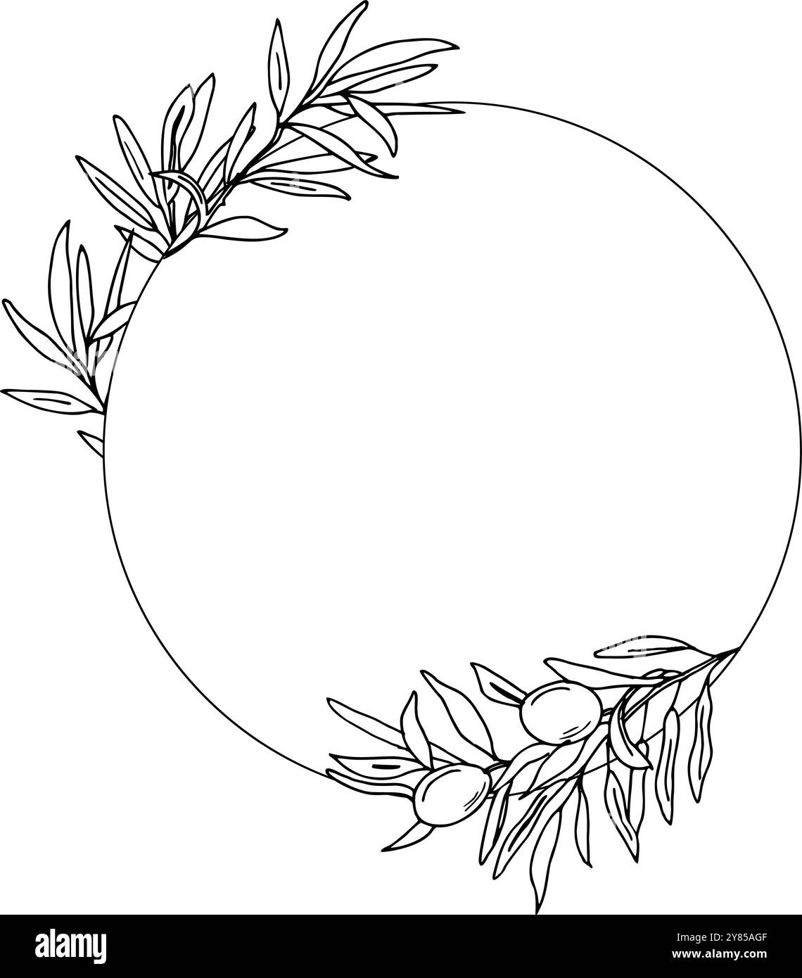 Olive Circle Frame, Wreath with Olive Branches isolated. Hand drawn ...
