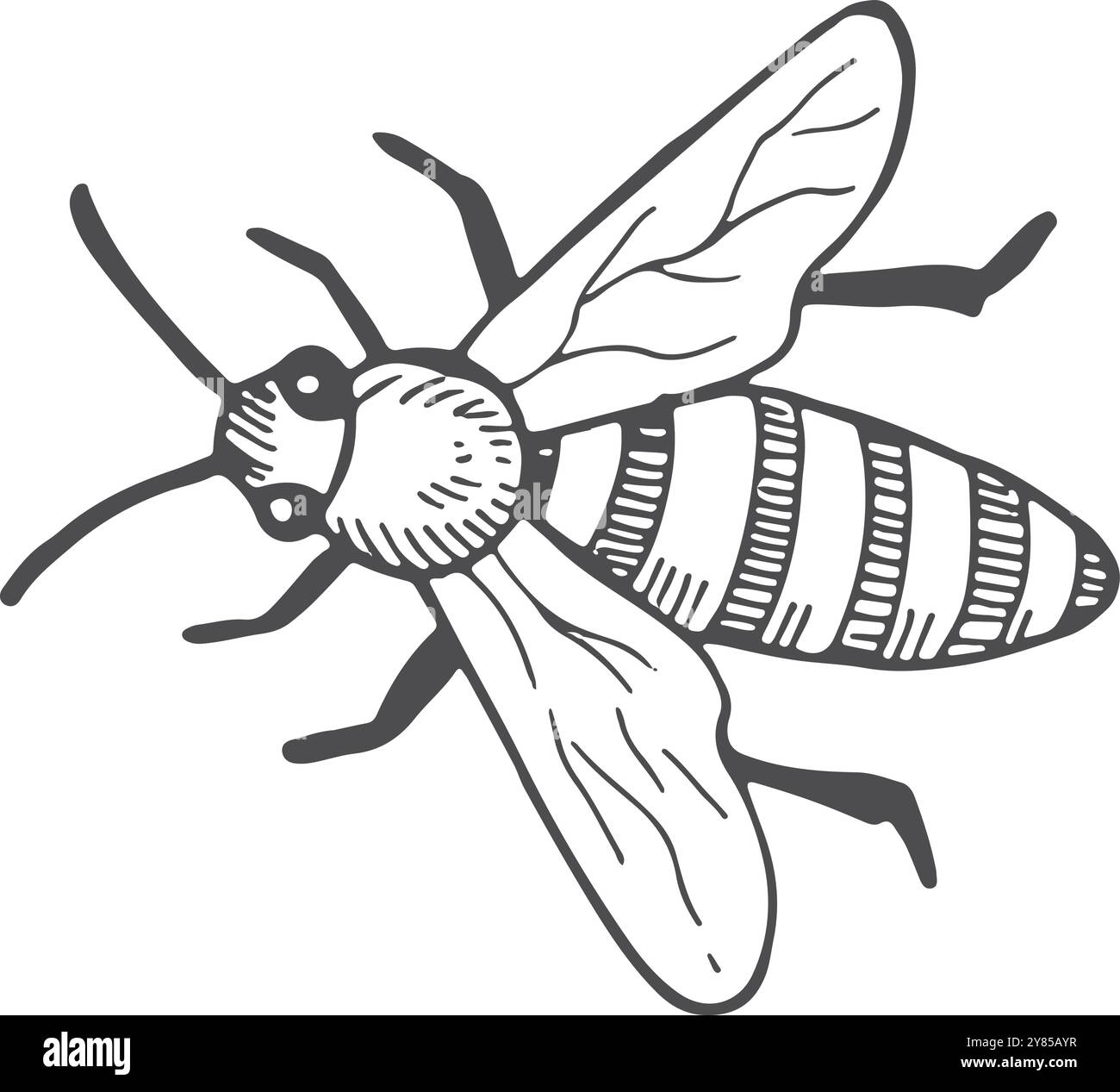 Flying top Black and White Stock Photos & Images - Alamy