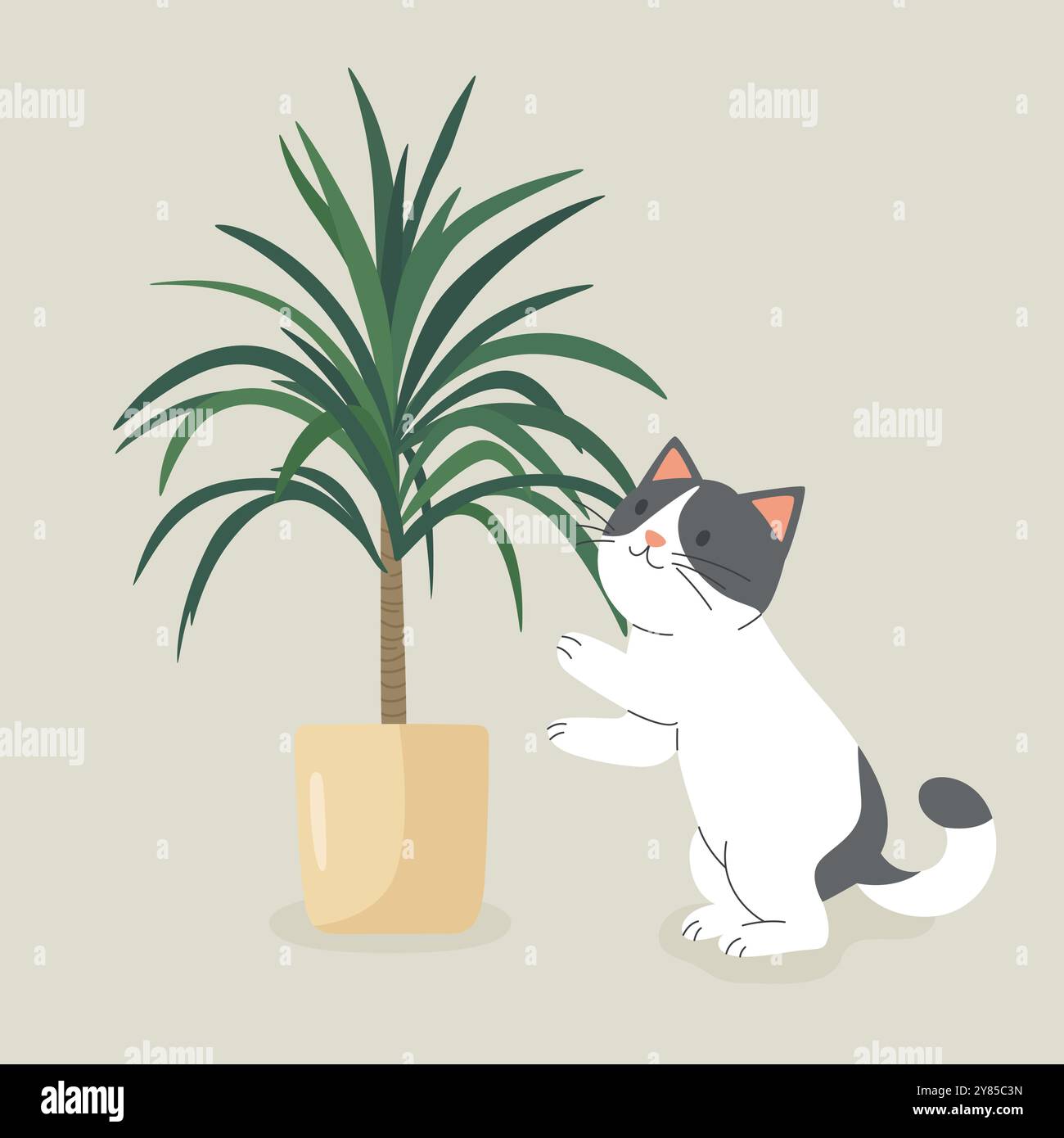 Cute Cartoon Flat Vector Cat Reaching for a Potted Dracaena Plant ...