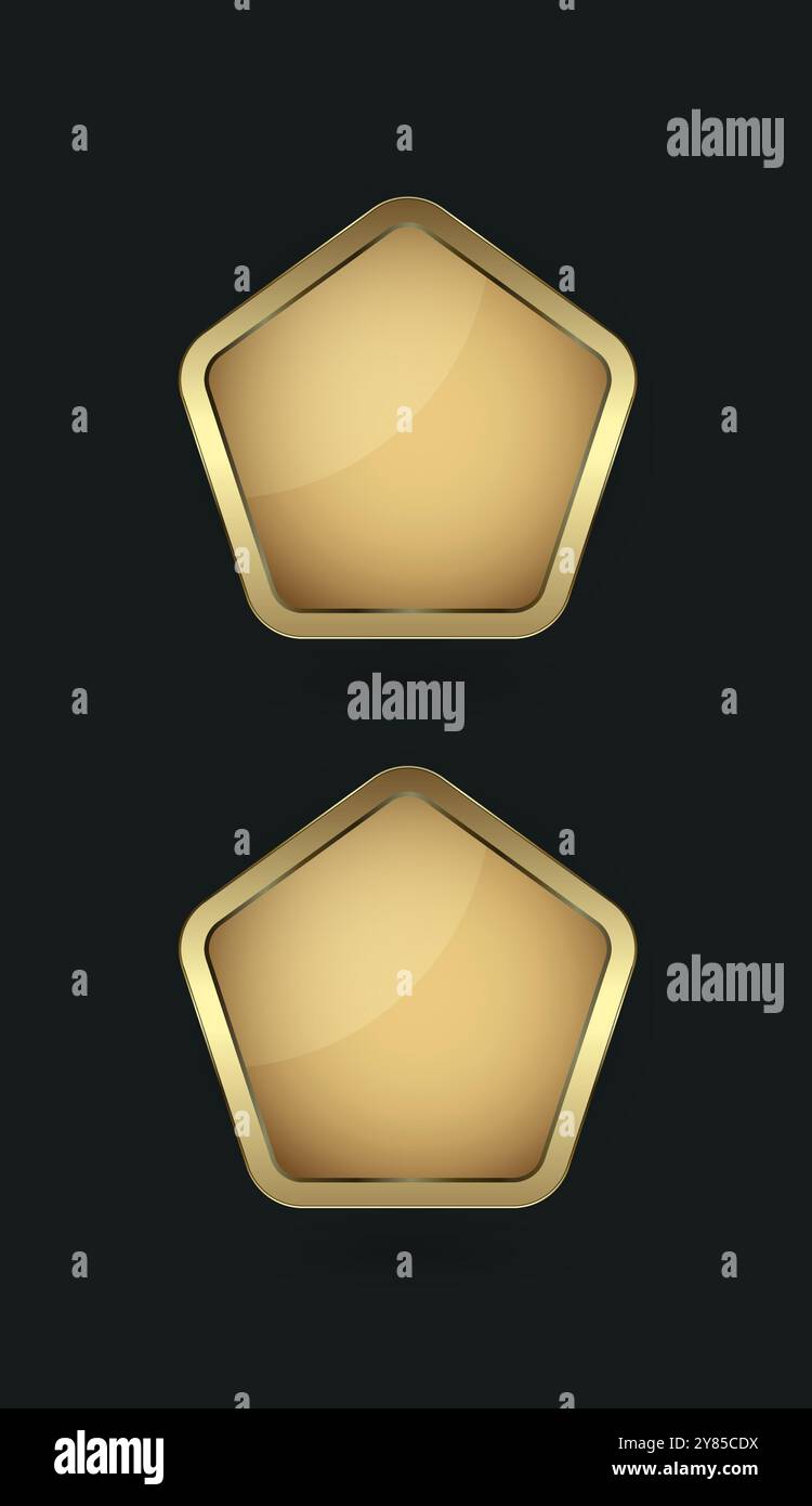 Two luxury Premium buttons of pentagon shapes in vector illustration ...