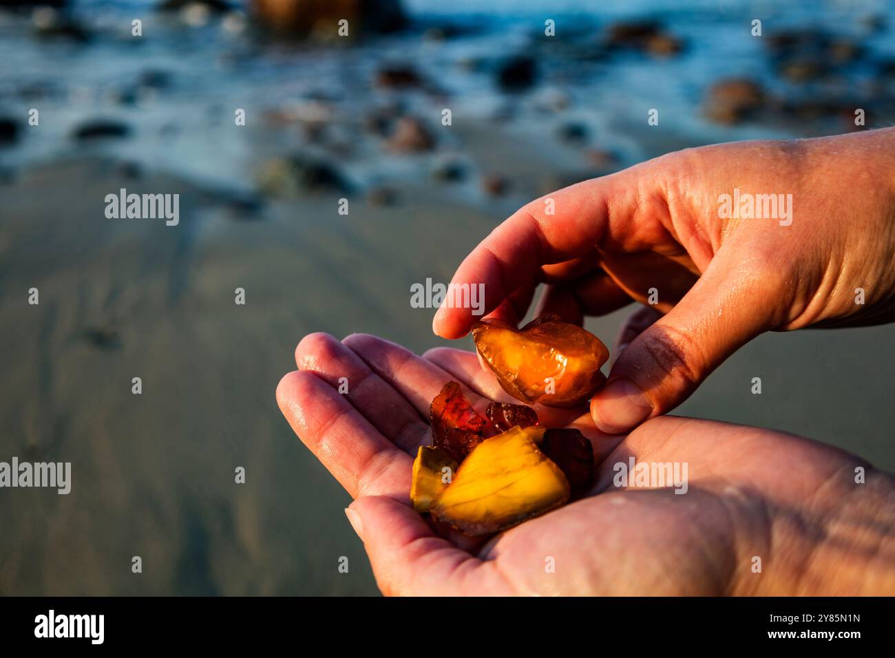 A person is gently holding a beautiful piece of amber in their hands ...