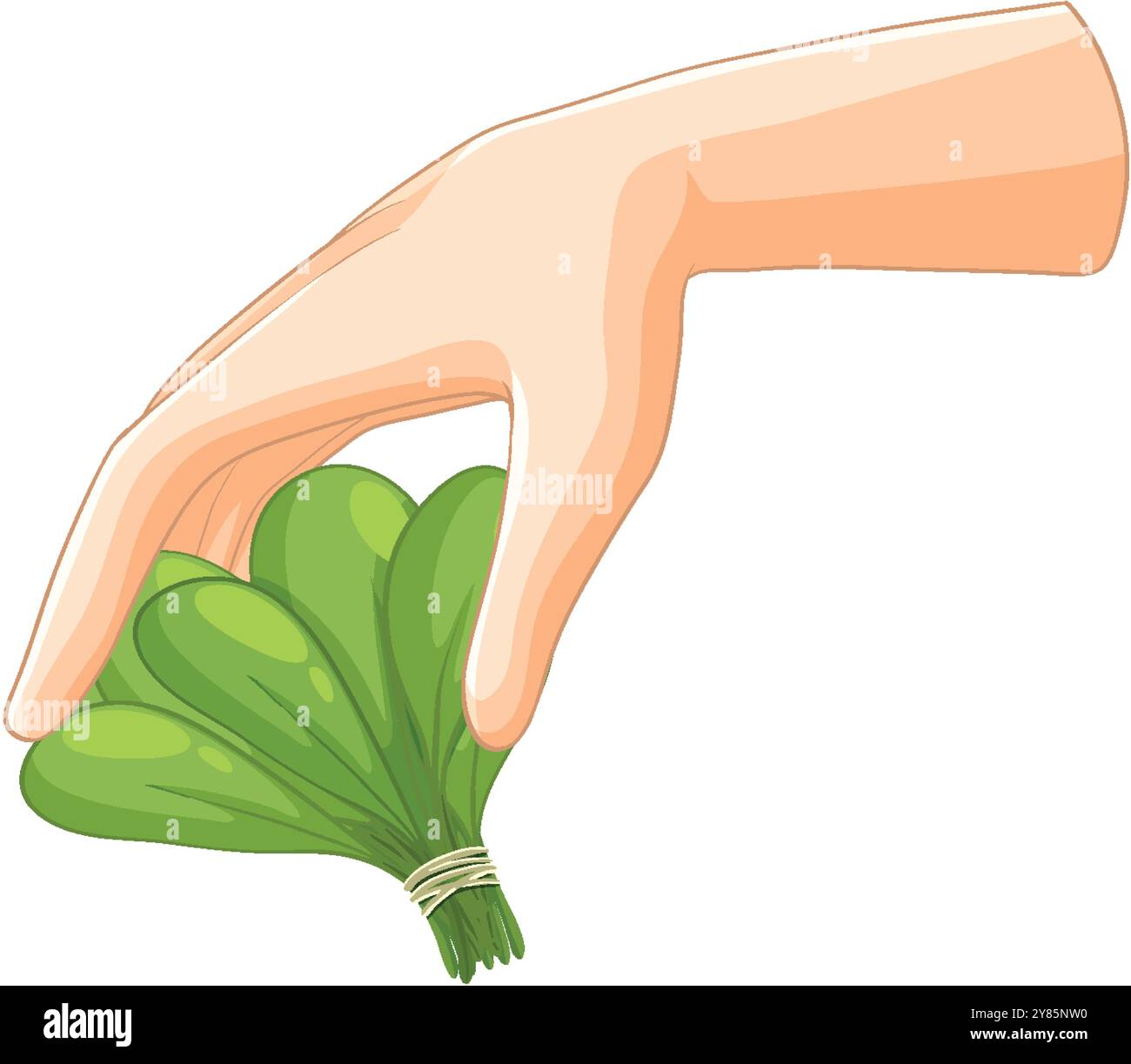 Illustration of a hand holding leafy greens Stock Vector Image & Art ...