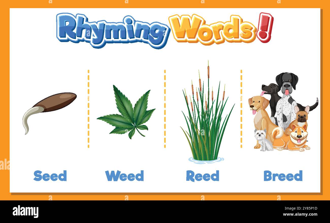 Seed, weed, reed, and breed rhyming words Stock Vector Image & Art - Alamy