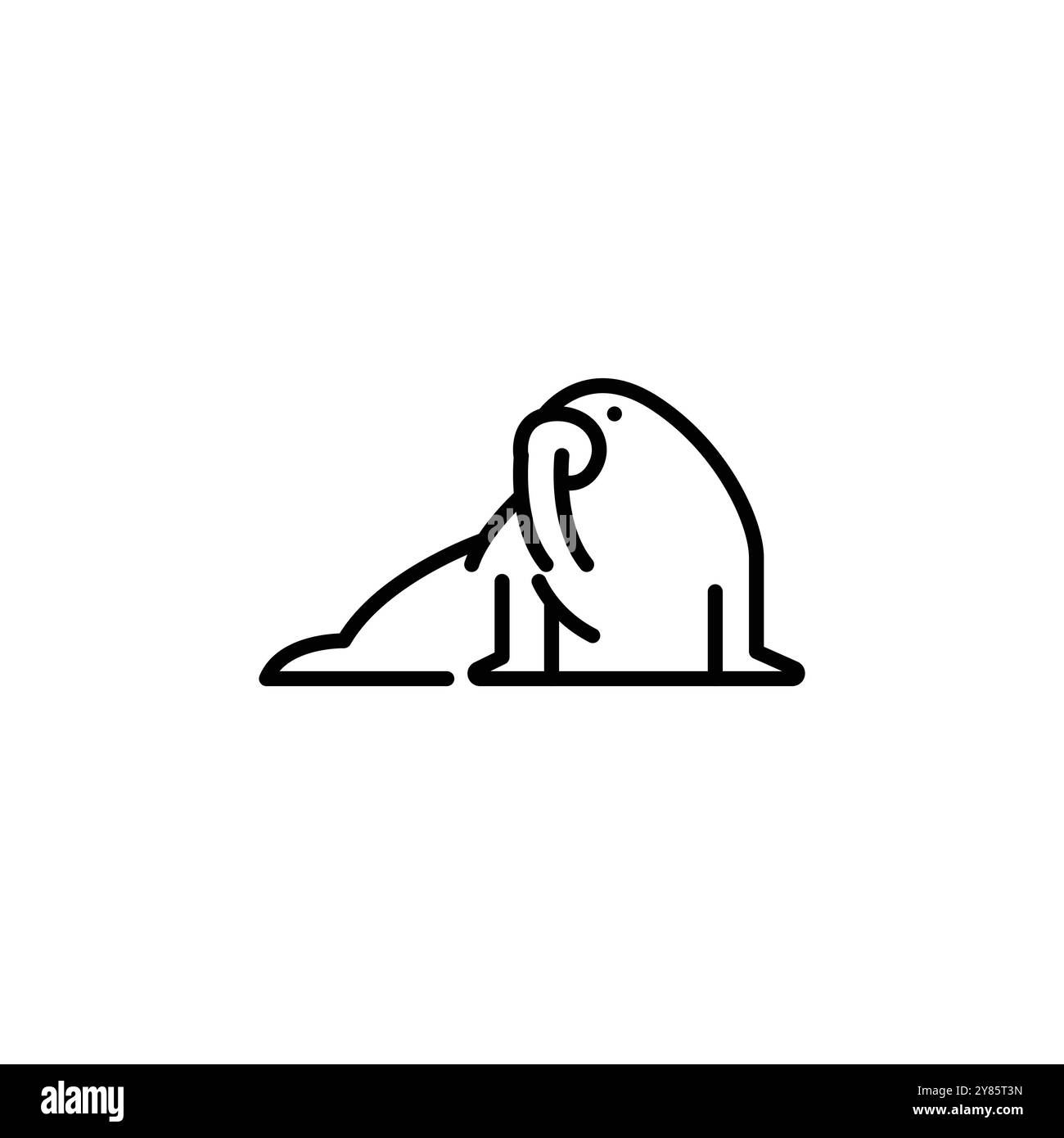 Walrus snow Cut Out Stock Images & Pictures - Alamy