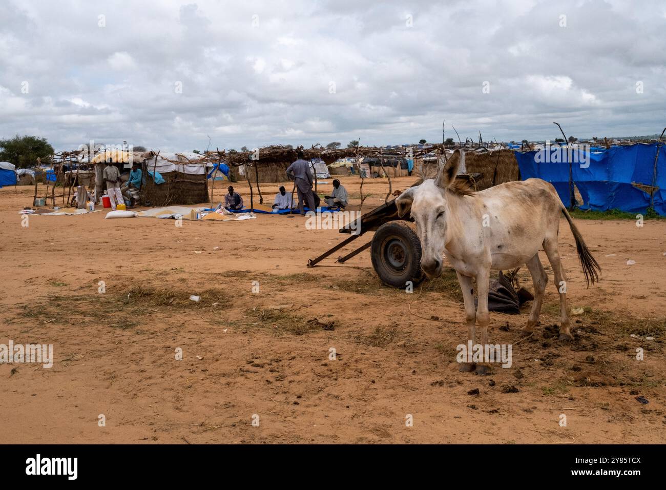 Crisis de cereales áfrica hi-res stock photography and images - Alamy