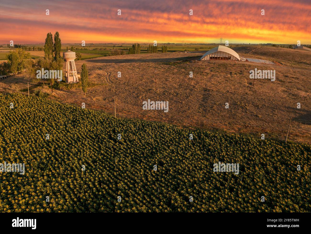 Catalhoyuk is oldest town in world with large Neolithic and ...