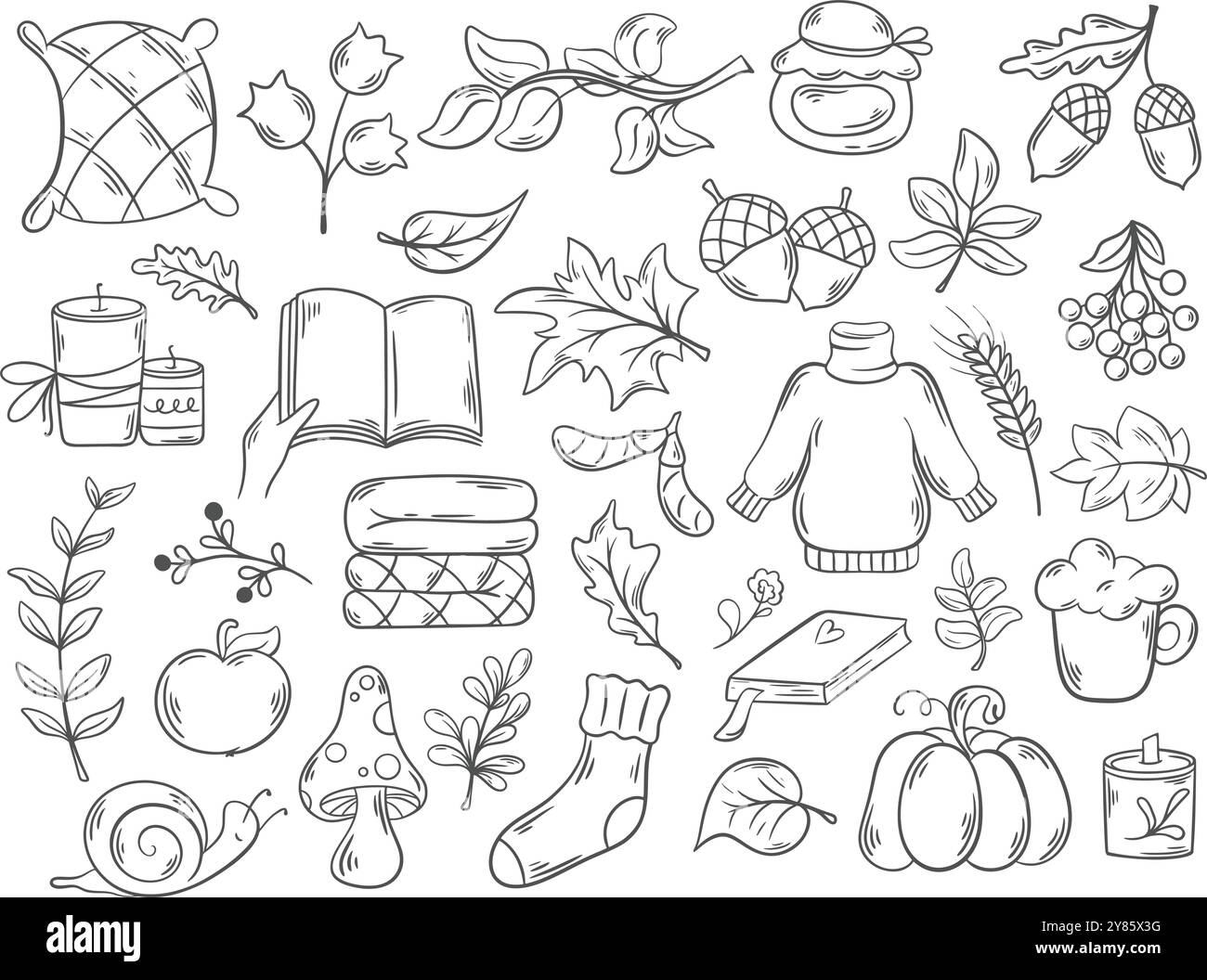 Collection of autumn elements and attributes in doodle sketch style ...