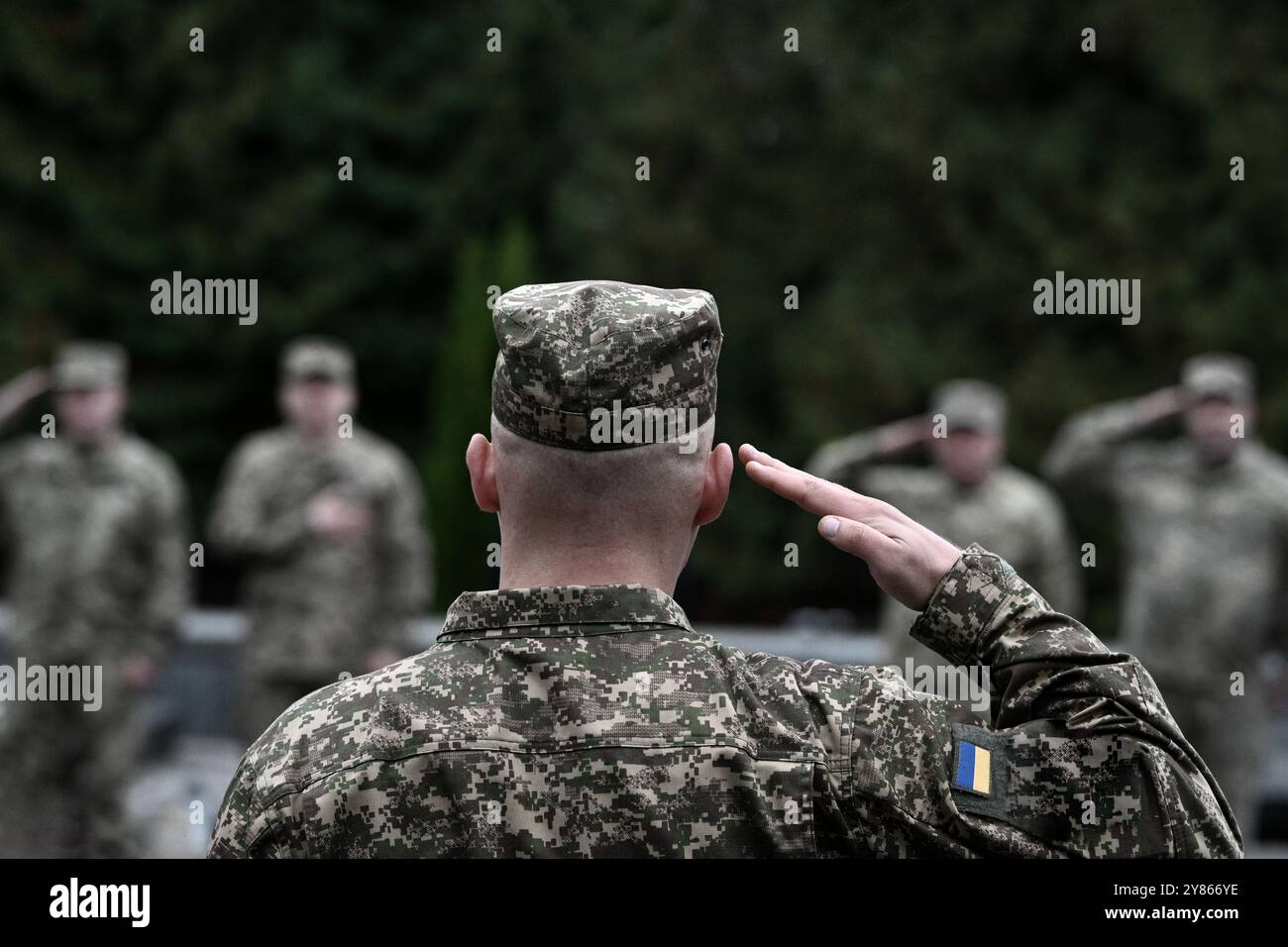 Ukrainian soldiers giving salute. Ukrainian military. Armed Forces of ...