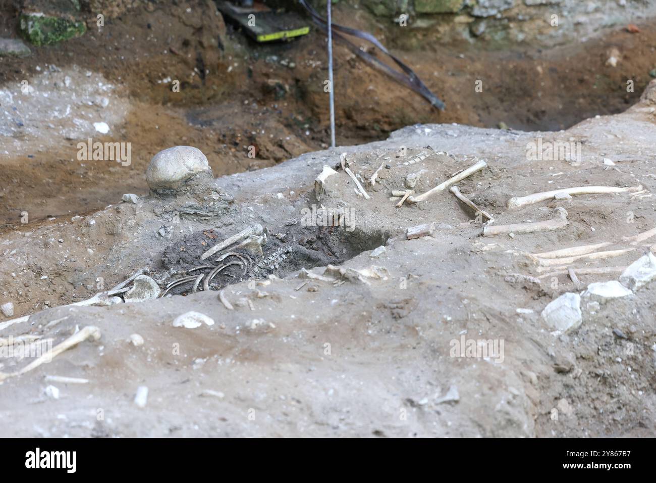 Remains of a 13th-century monk uncovered in a medieval sacristy within ...