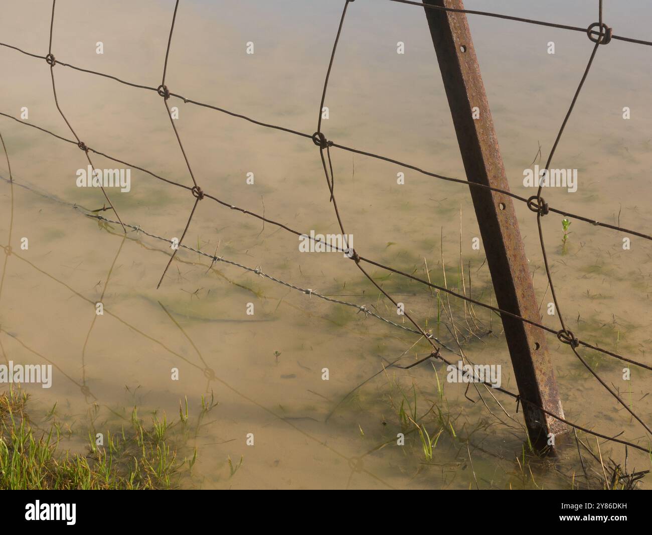 Close up water puddle hi-res stock photography and images - Alamy