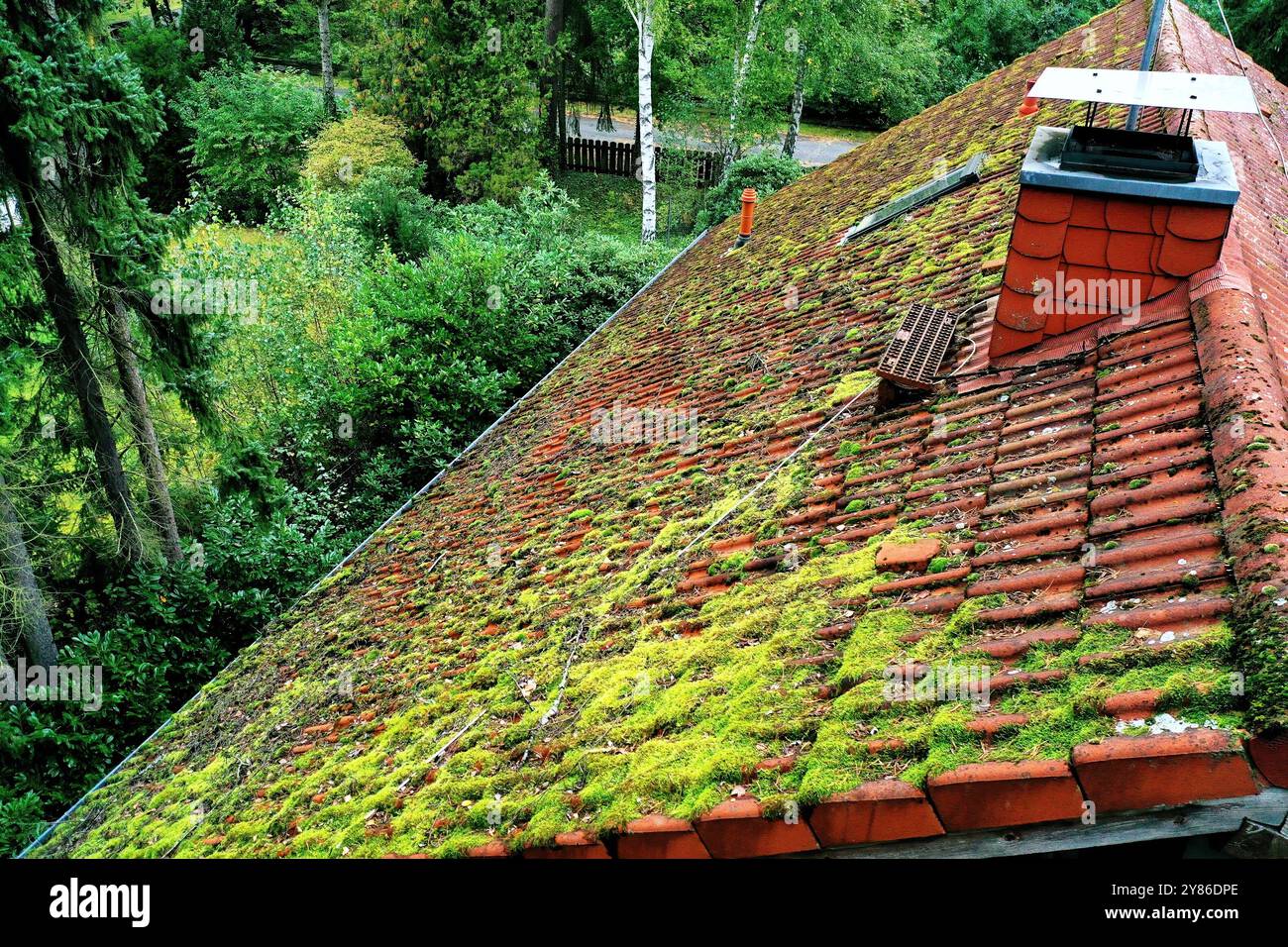 Aerial view showing a mossy roof in need of cleaning and maintenance ...