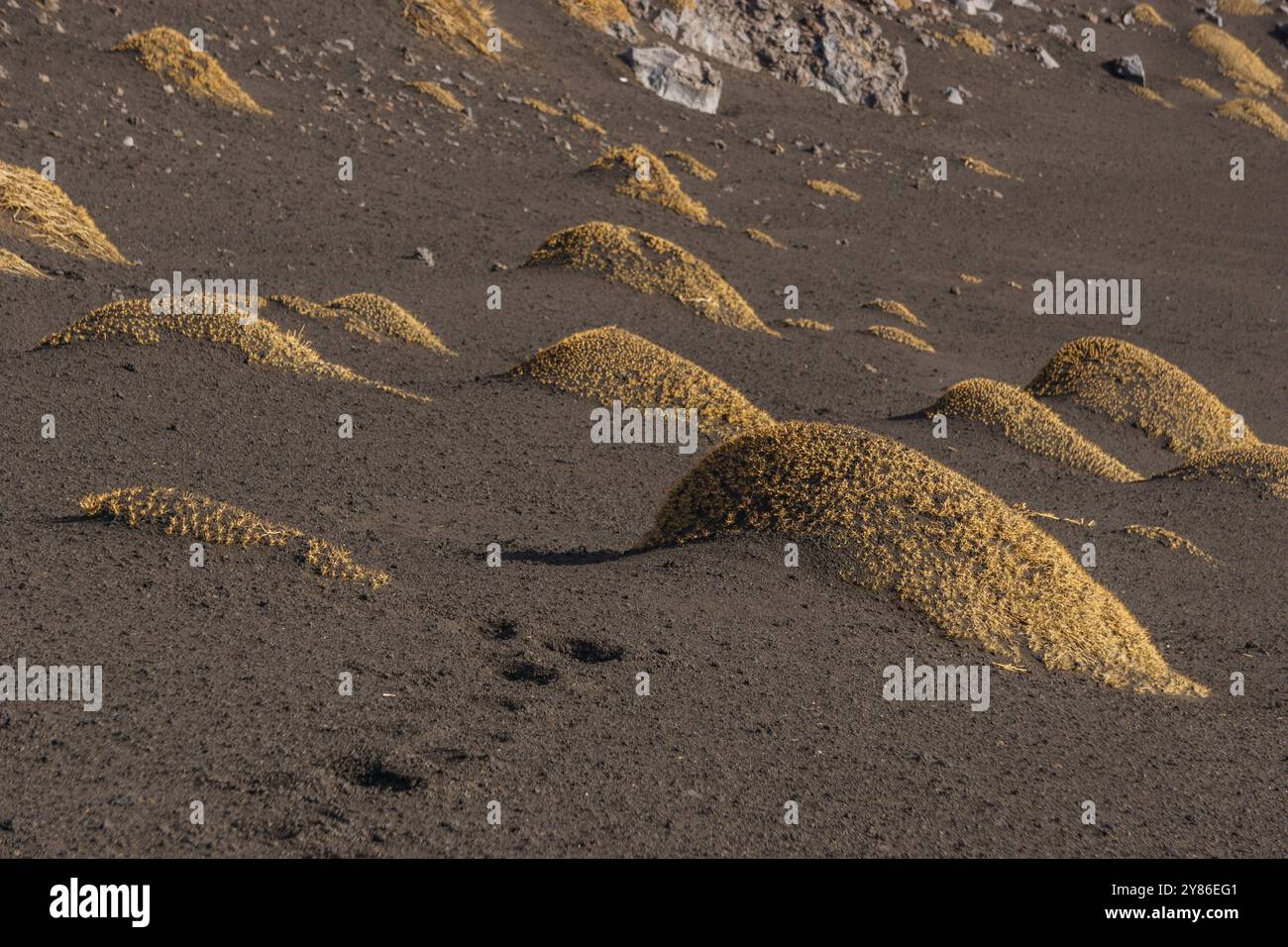 Footprints in ash of the volcanic landscape of Mount Etna with black ...