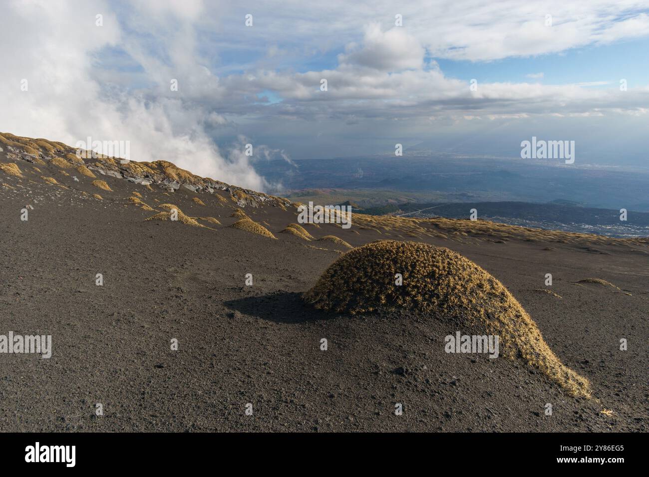 Volcanic landscape of Mount Etna with black lava ground and yellow ...
